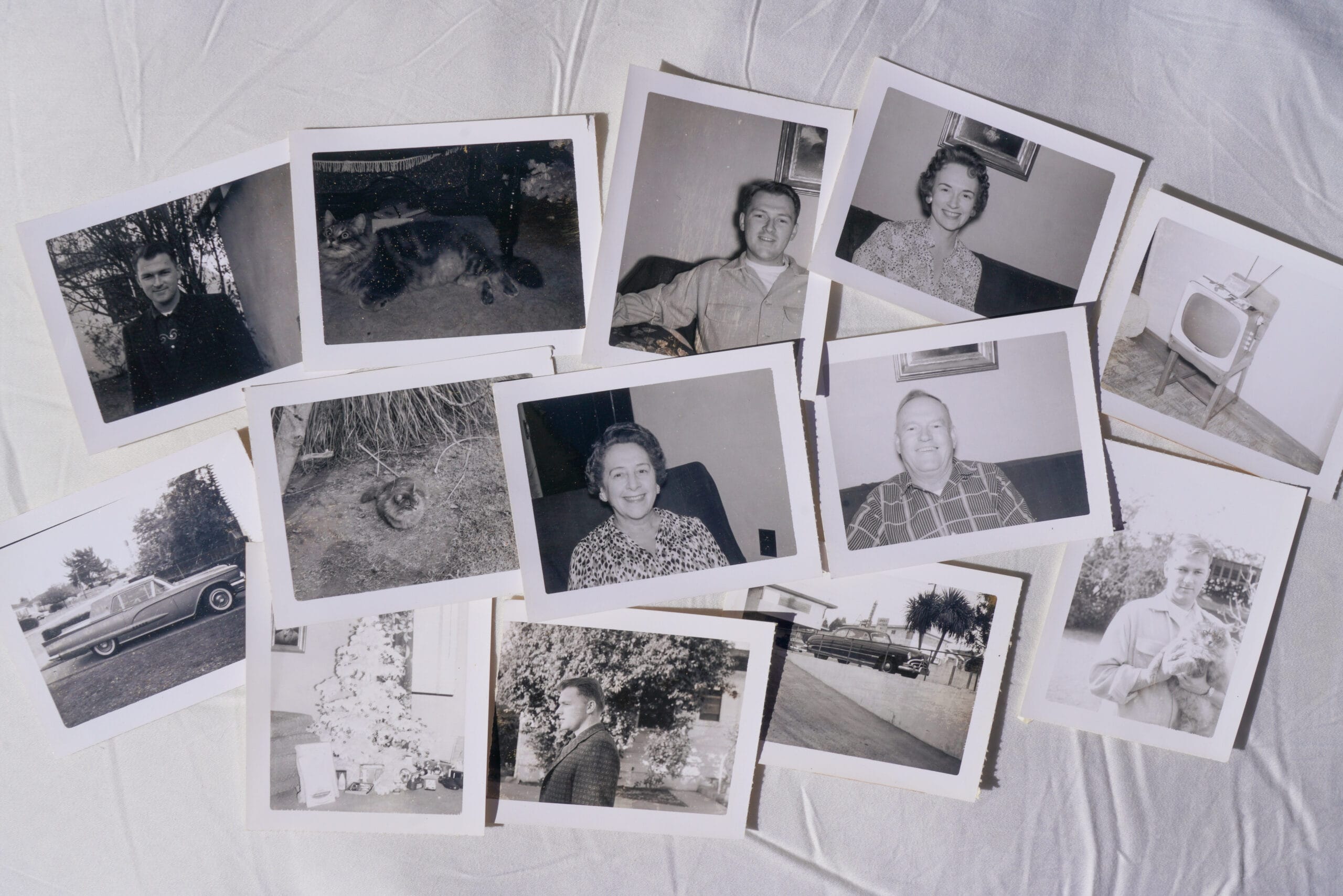 Polaroid Model 95, 80A & 80B: Early Roll Film Land Cameras That Started ...